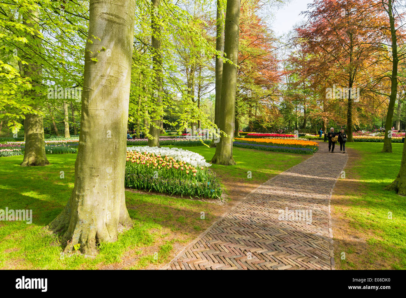 Keukenhof Gardens Path High Resolution Stock Photography and Images - Alamy
