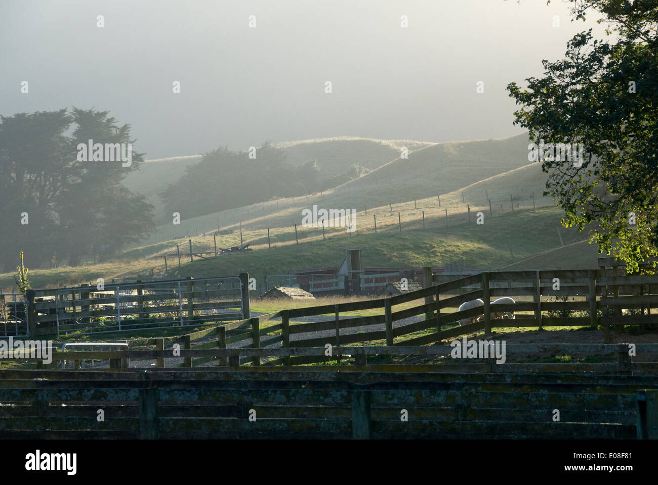 Battle hill regional park hi-res stock photography and images - Alamy