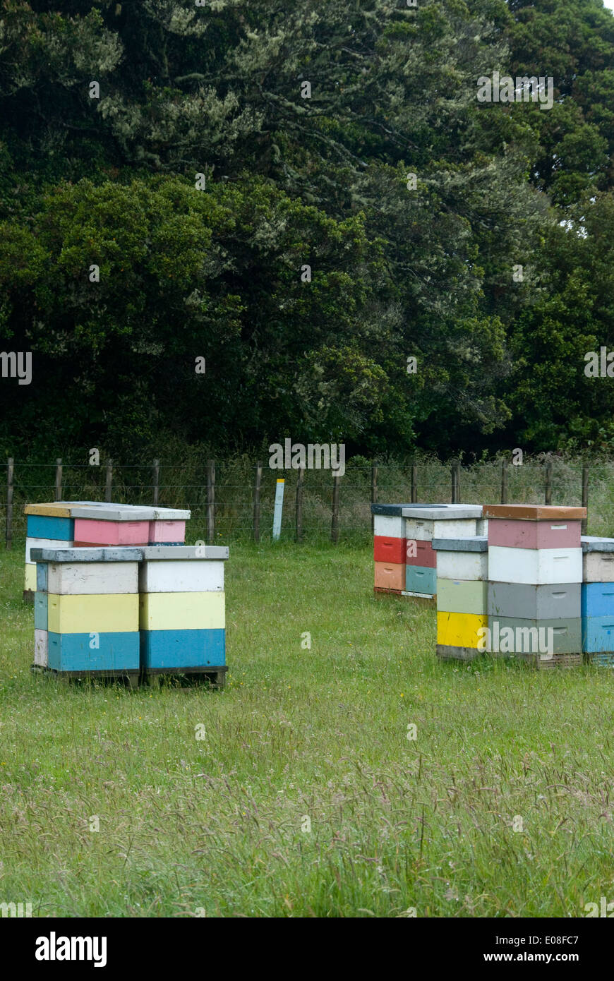 Bee Hives New Zealand High Resolution Stock Photography and Images - Alamy