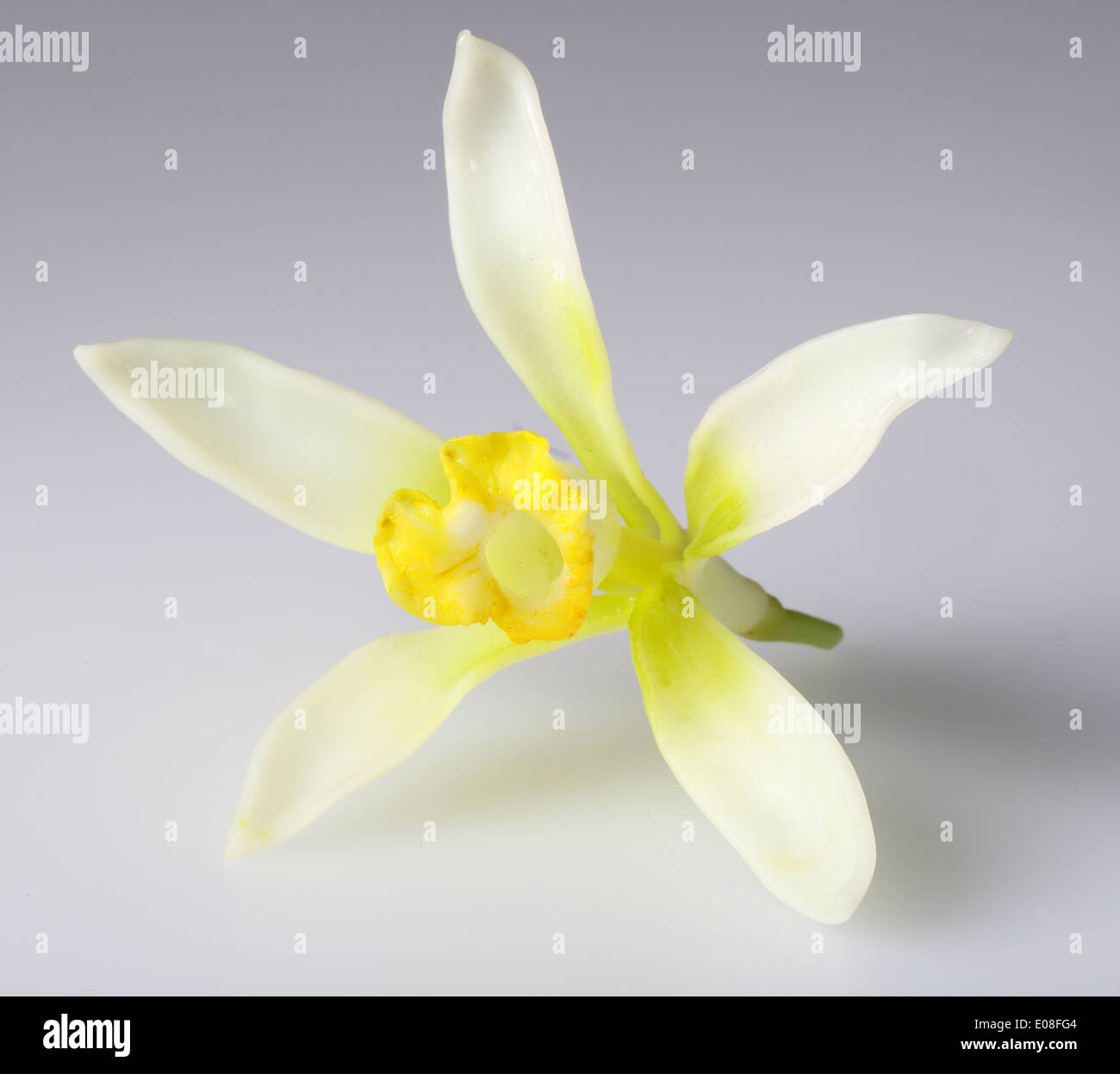 Vanil hi-res stock photography and images - Alamy