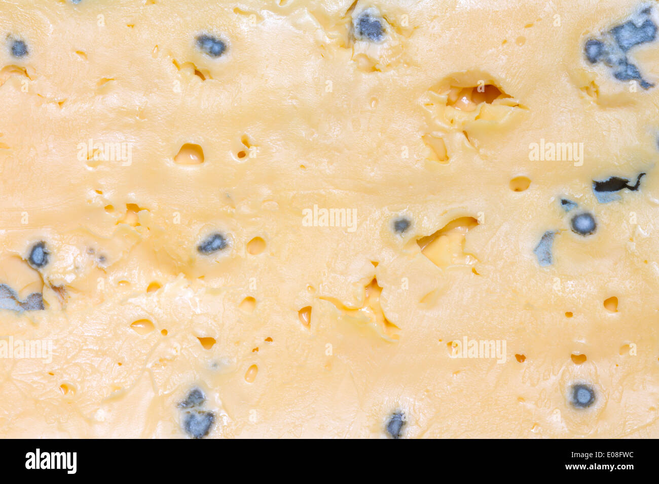 Blue cheese background texture closeup Stock Photo - Alamy