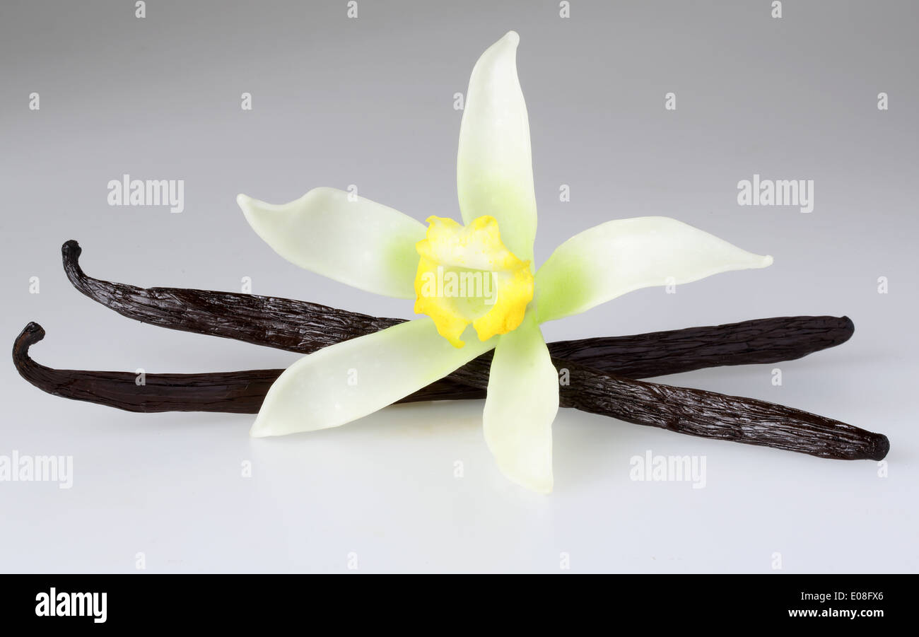Vanilla bean and flower hi-res stock photography and images - Alamy