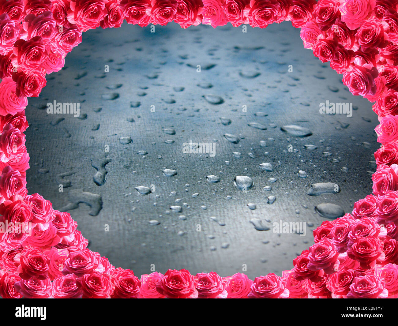 droplets of water on the glass placed in red roses nice frame Stock ...