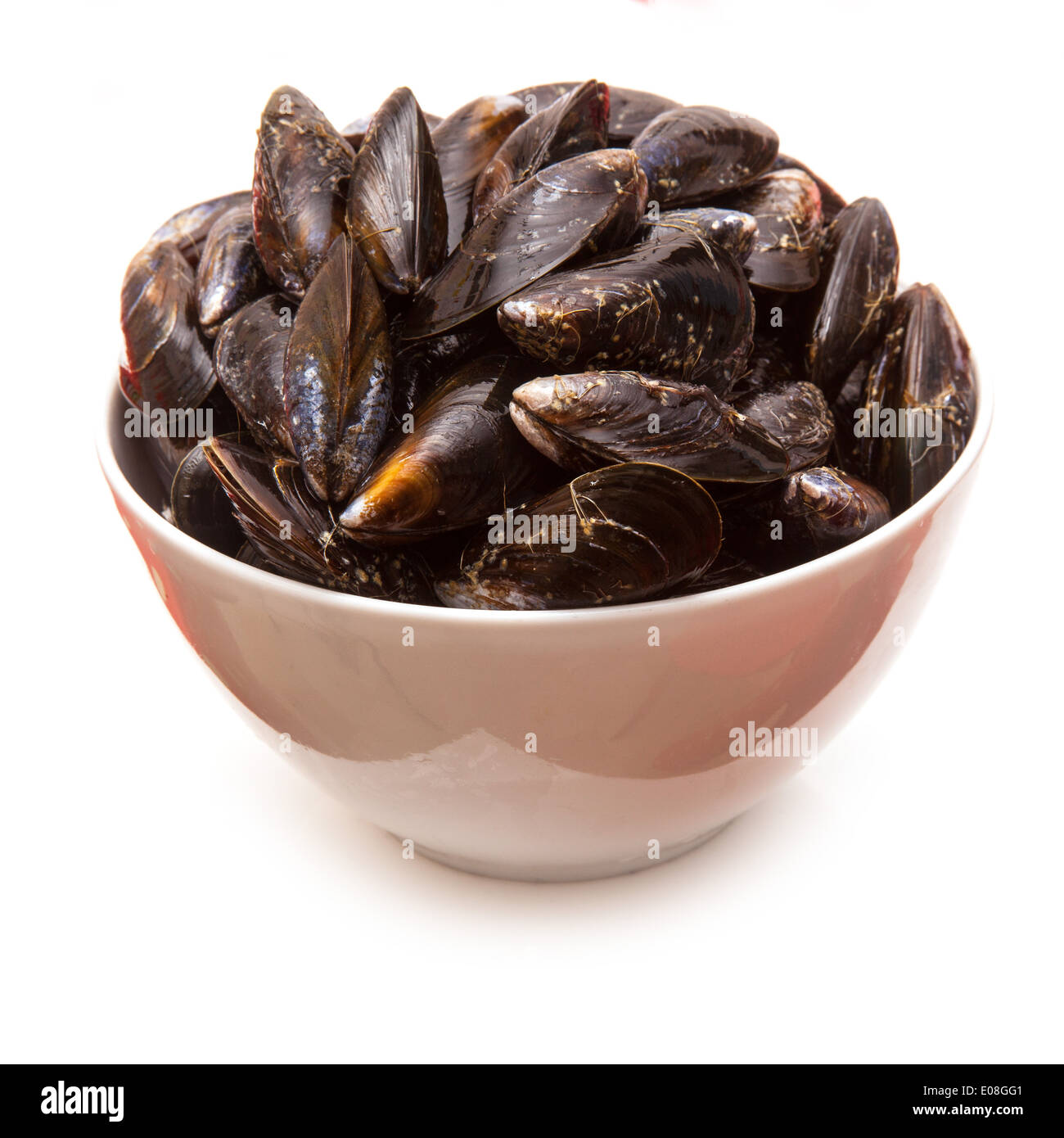 Bowl of raw mussels isolated on a white studio background Stock Photo ...