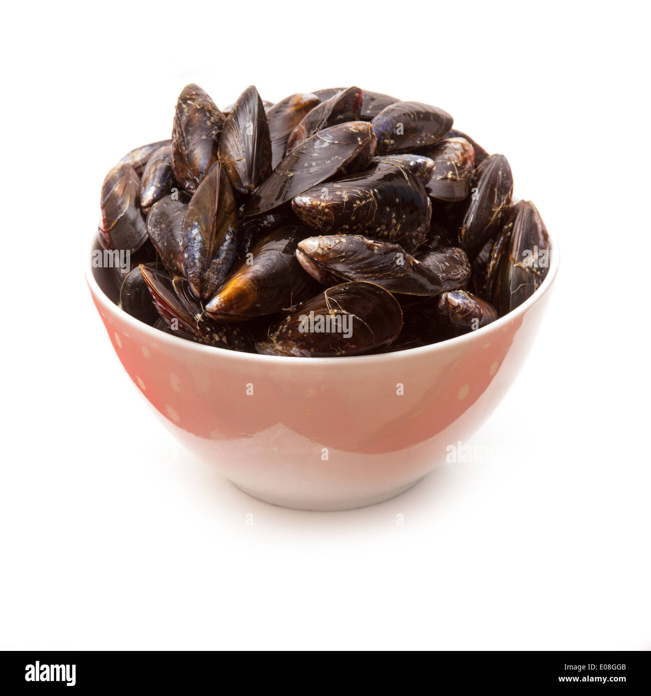 Bowl of raw mussels isolated on a white studio background Stock Photo ...