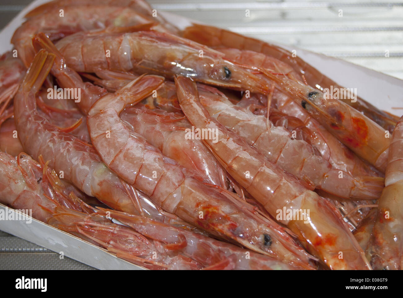 Mediterranean fresh fish: prawns Stock Photo - Alamy