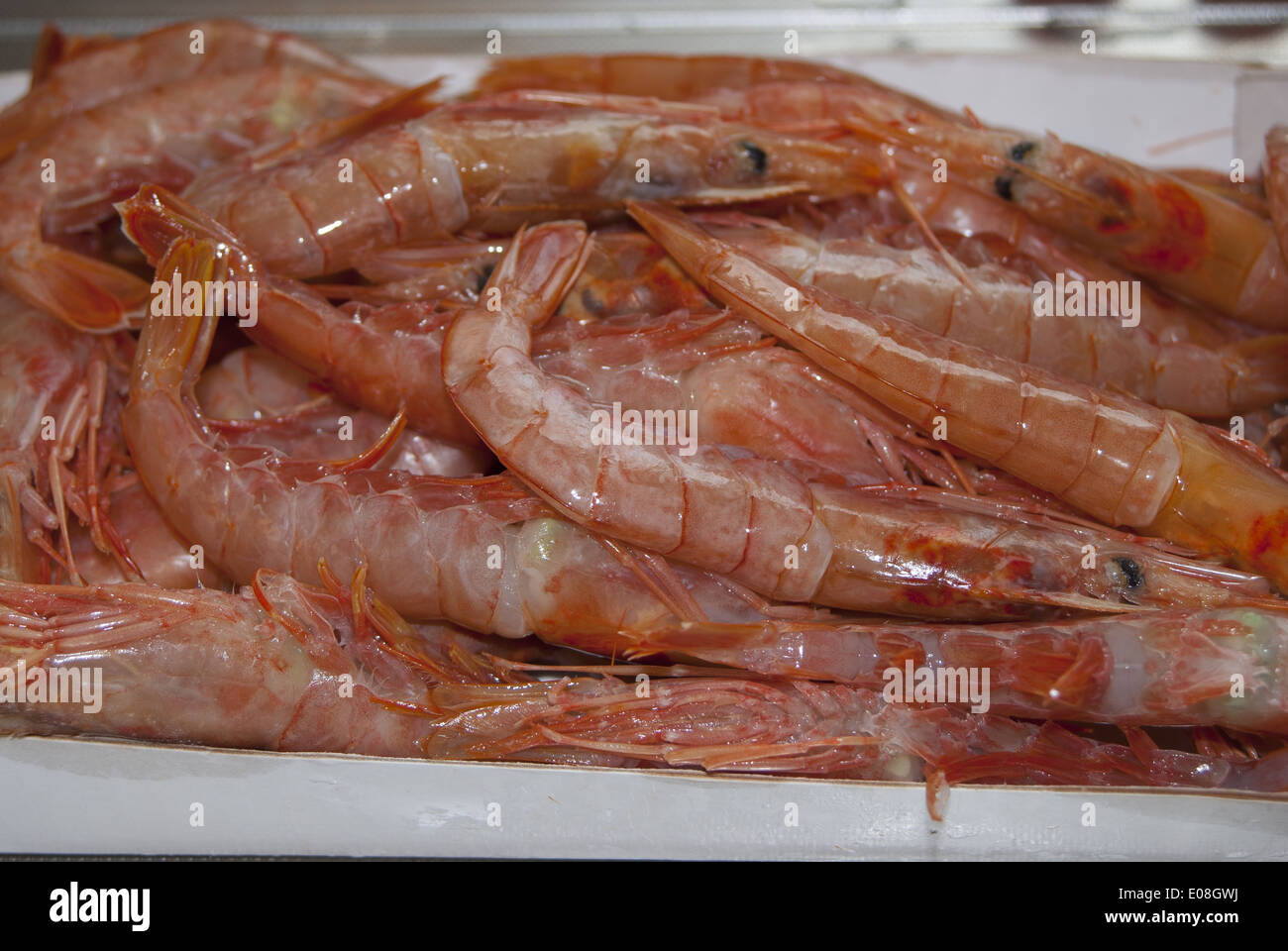 fresh mediterranean fish : prawns Stock Photo - Alamy