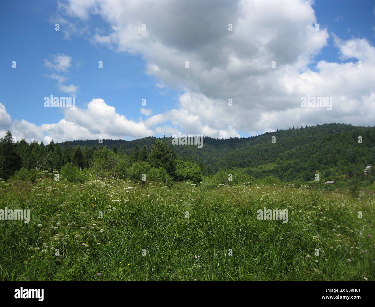 The sheaf view hi-res stock photography and images - Alamy