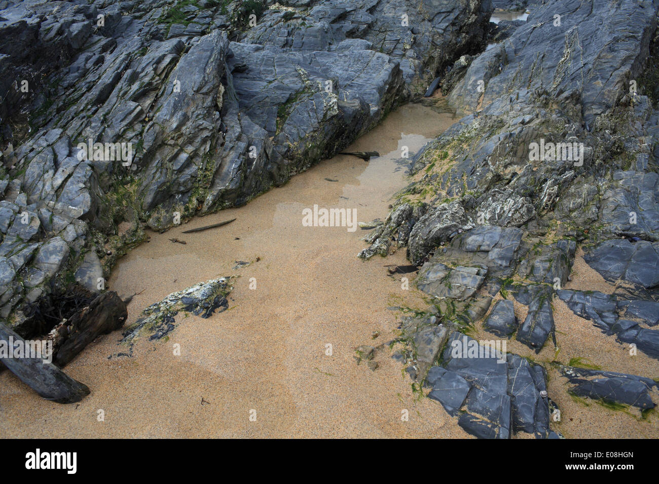 Rockpool cornwall hi-res stock photography and images - Alamy