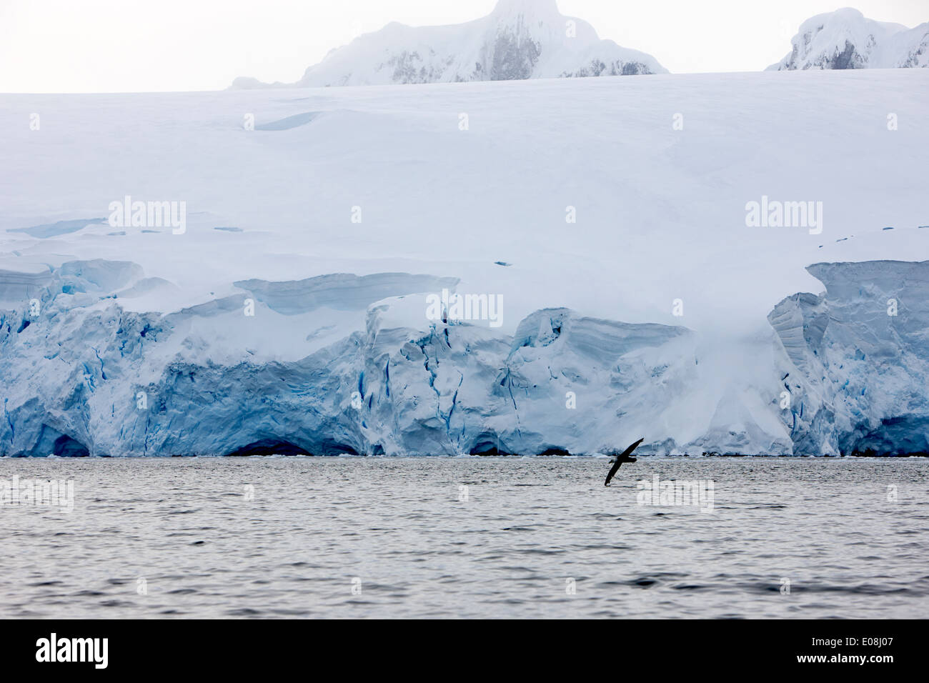 glacier wall face port lockroy Antarctica Stock Photo - Alamy