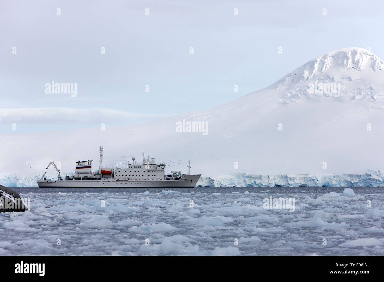 akademik sergey vavilov russian research ship in port lockroy as brash ...