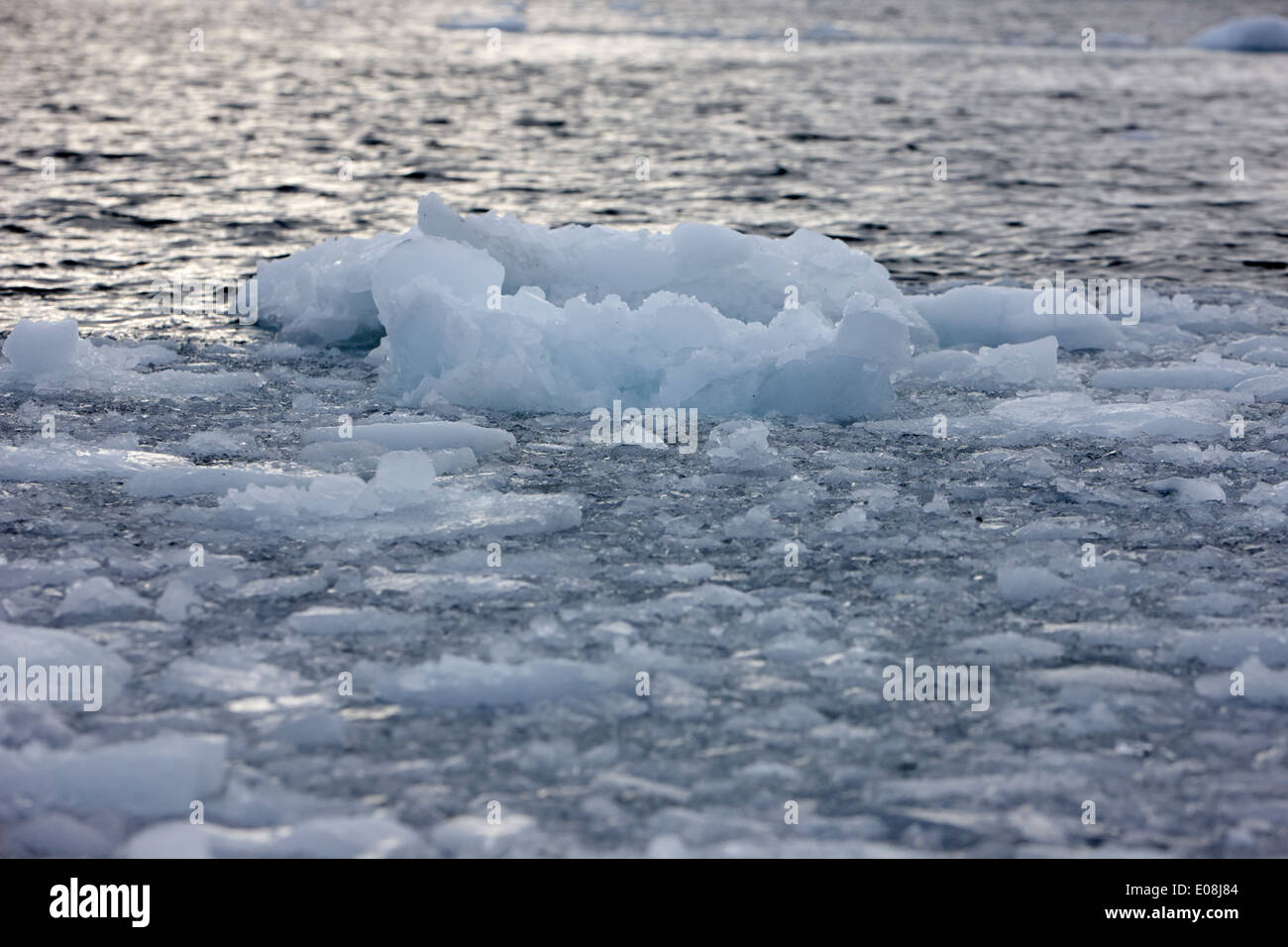 brash sea ice forming on the edge of open water winter closing in ...