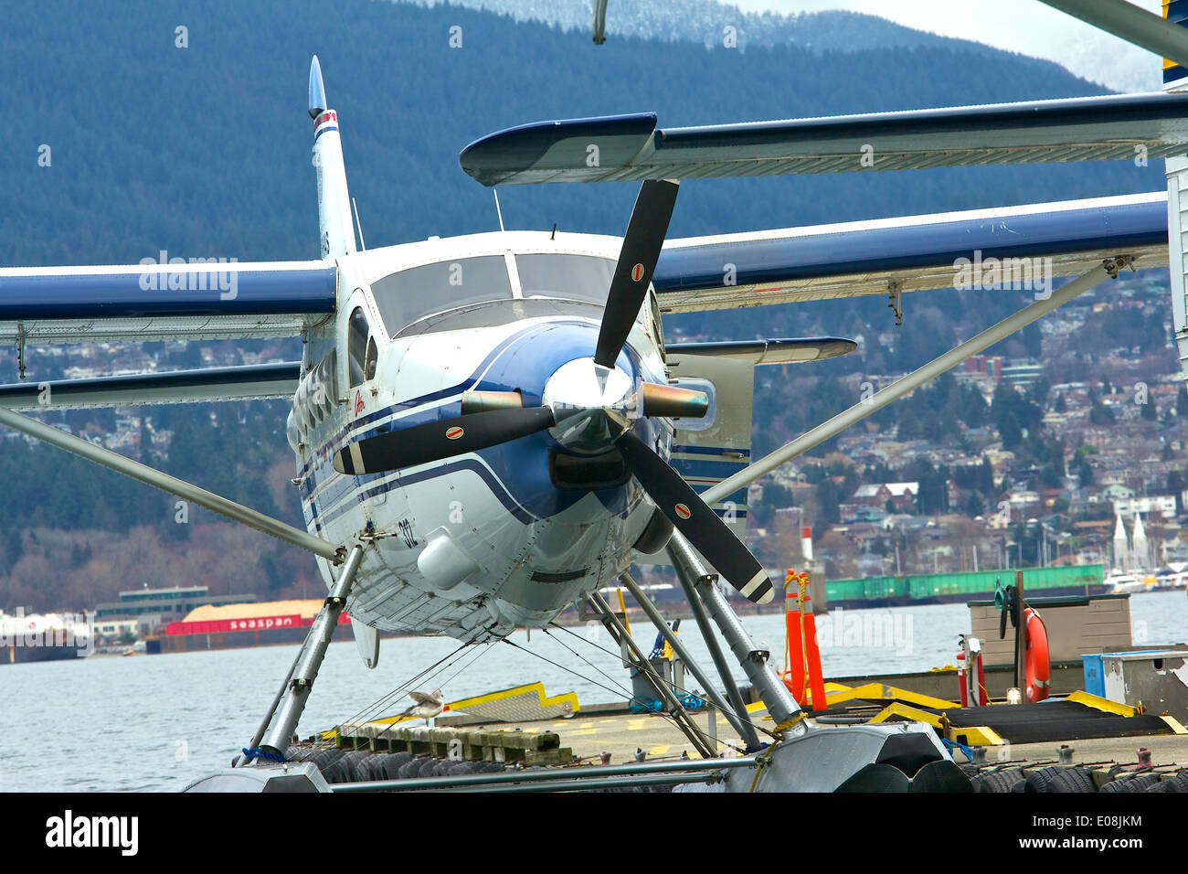 Harbour Air Seaplanes Turbo Otter Floatplane Moored In Vancouver ...