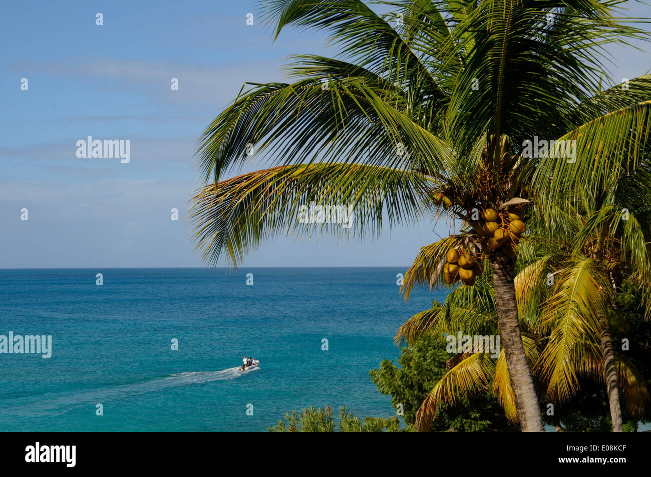 Hawksbill Beach, Hawksbill Hotel, Antigua, Leeward Islands, West Indies ...