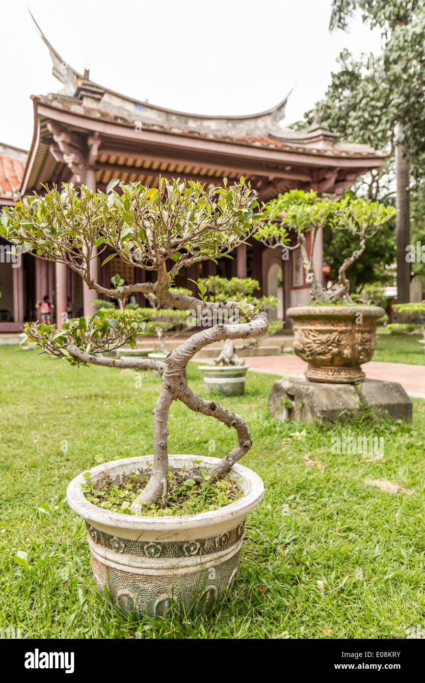 A Confuscius temple with bonsai plansts in front Stock Photo - Alamy