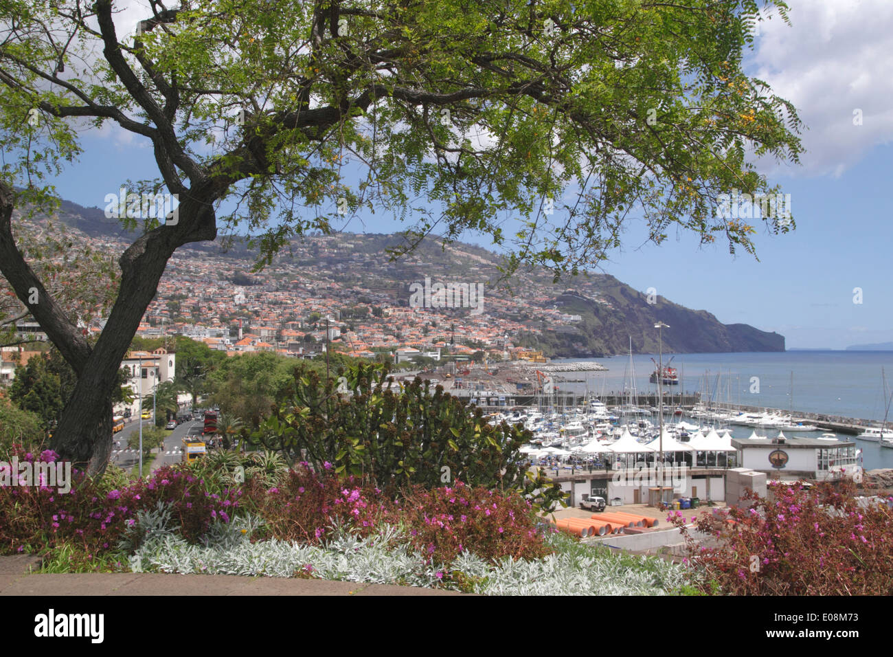 Funchal Madeira cityscape view from Parque de Santa Catarina Stock ...