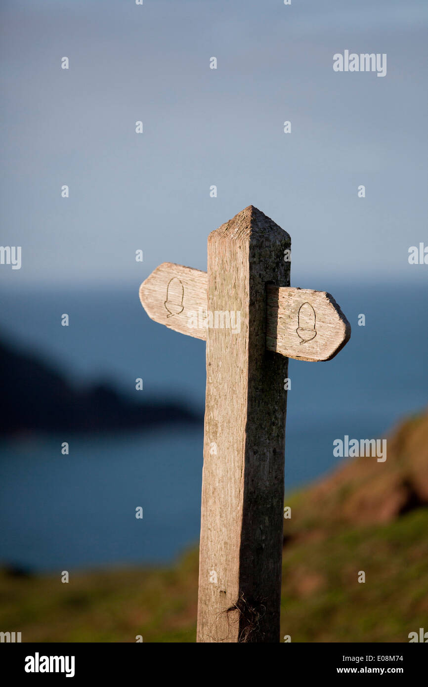Wooden national trust footpath sign on coast path in Pembrokeshire ...