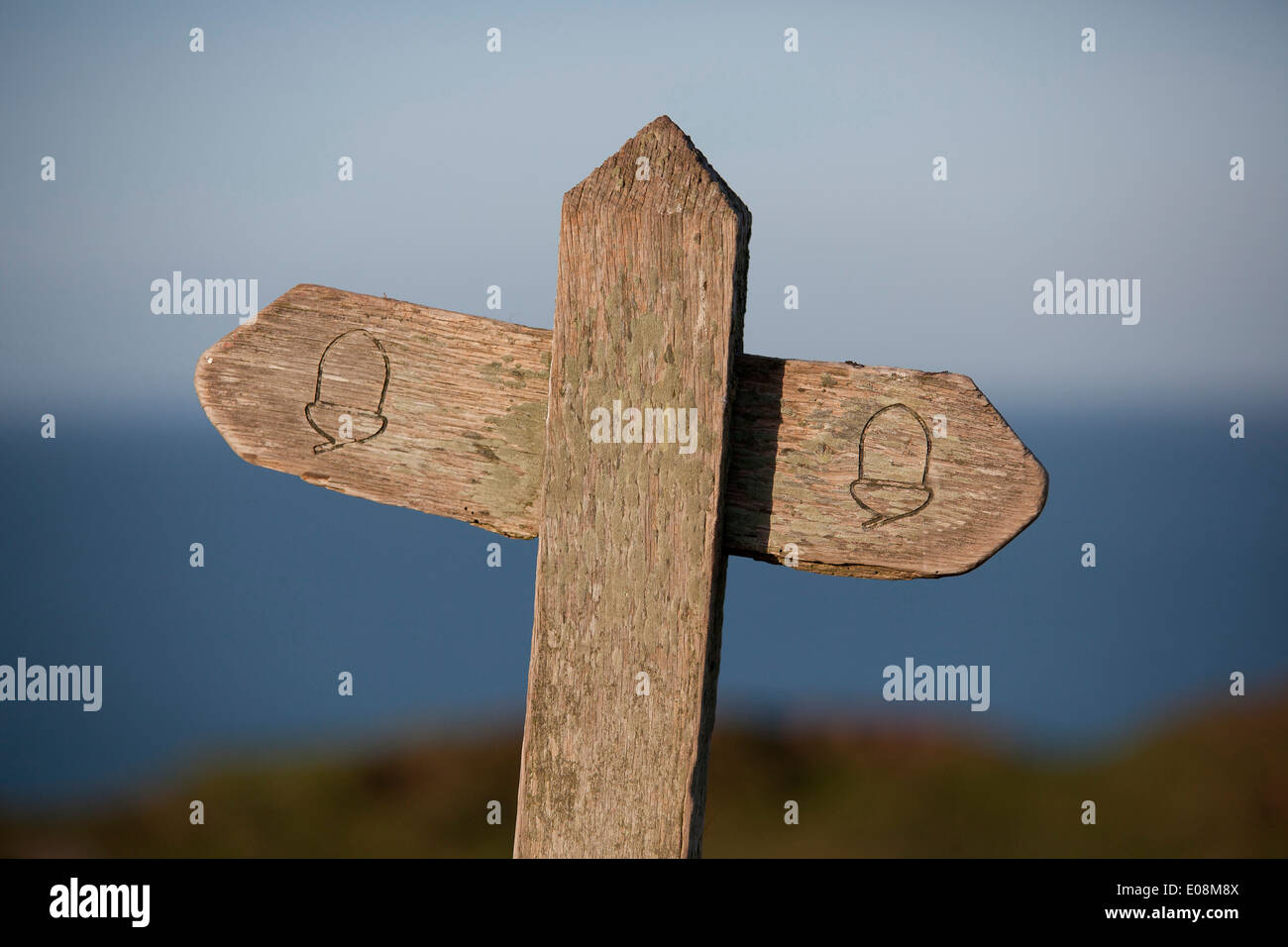 Wooden national trust footpath sign on coast path in Pembrokeshire ...