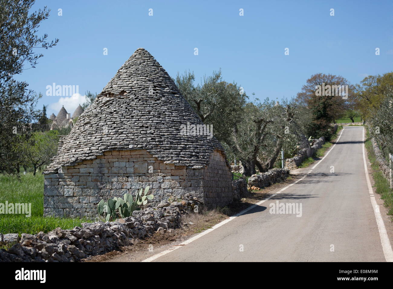 Traditional trullos (trulli) in the countryside near Alberobello ...