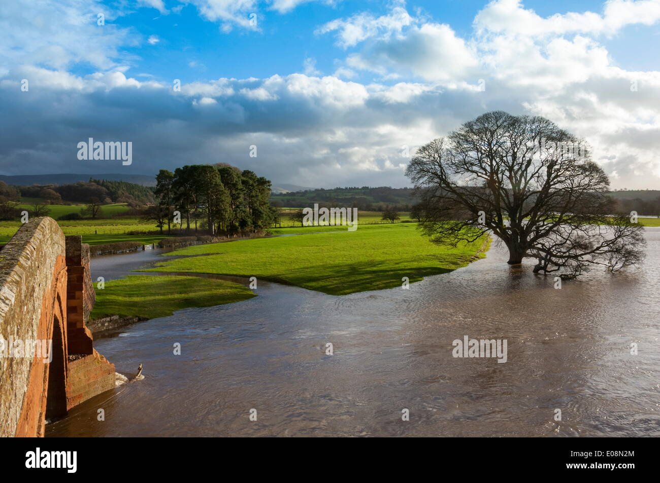 Floodwaters, Lazonby Bridge, River Eden, Eden Valley, Cumbria, England ...