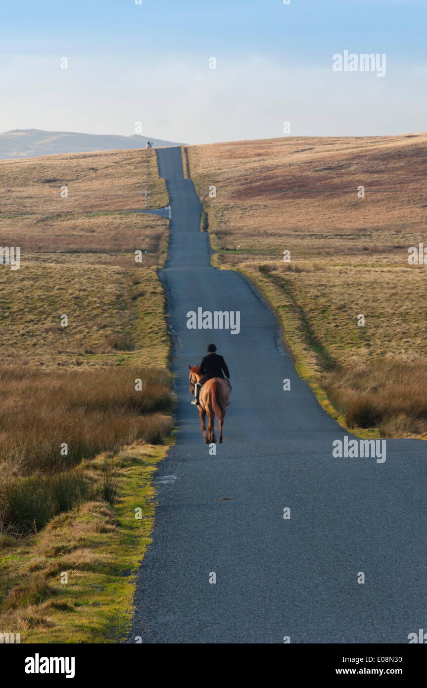 Lone Hunter, Caldbeck Fell Road, Back o'Skiddaw, Cumbria, England ...