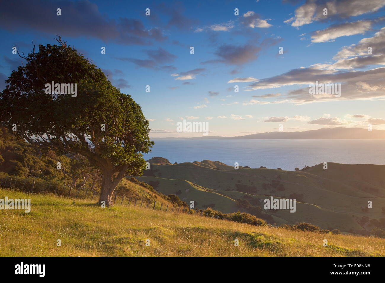 Firth Of Thames High Resolution Stock Photography and Images - Alamy