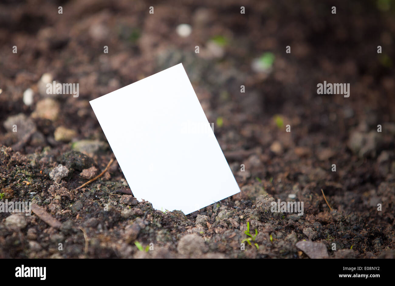 Business card growing from ground Stock Photo - Alamy