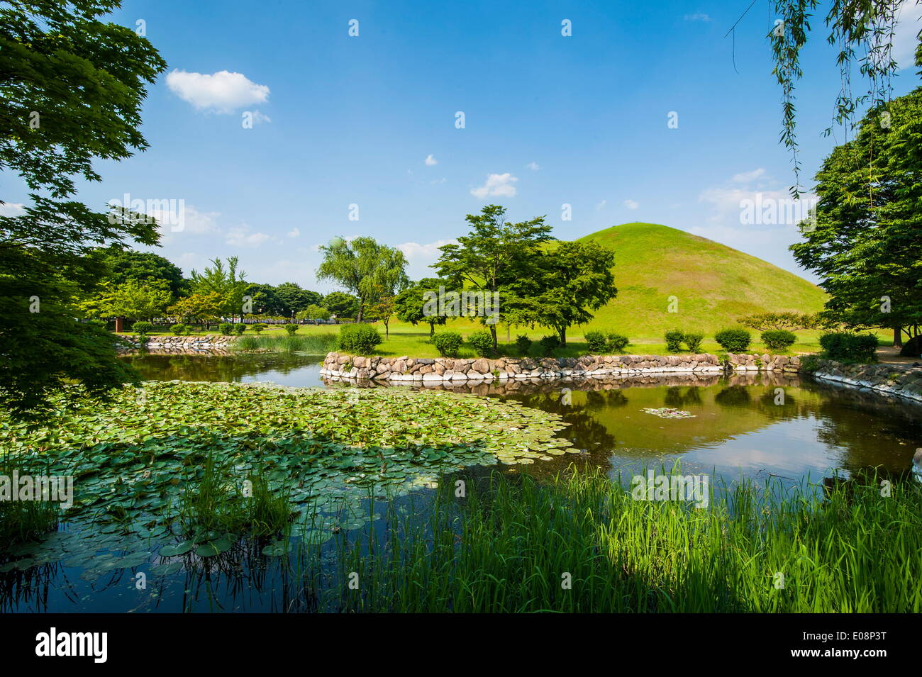 Tumuli park with its tombs from the Shilla monarchs, Gyeongju, UNESCO ...