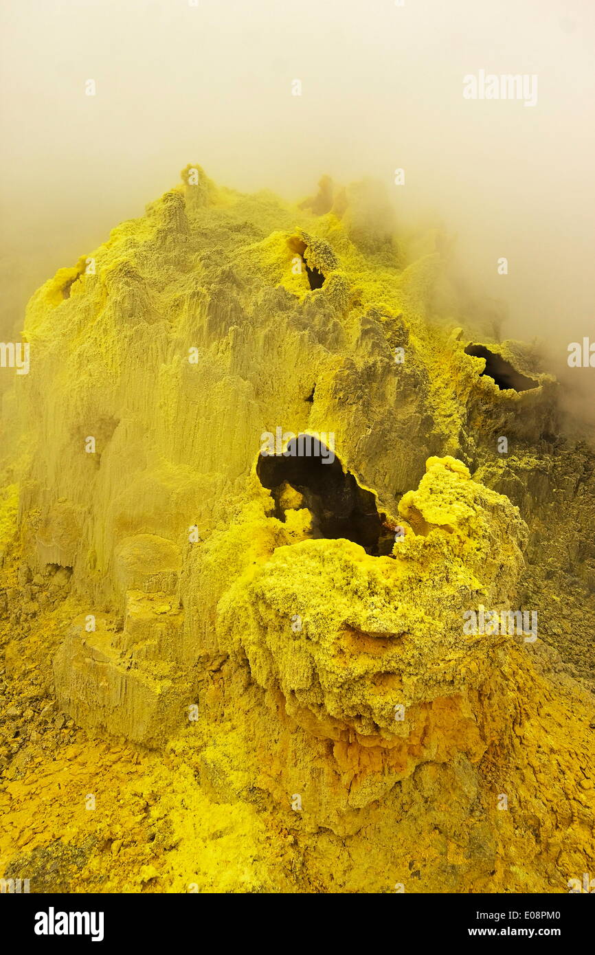 Sulphur encrusted fumaroles at Papandayan Volcano, an active four ... Sulphur encrusted fumaroles at Papandayan Volcano, an active four ...