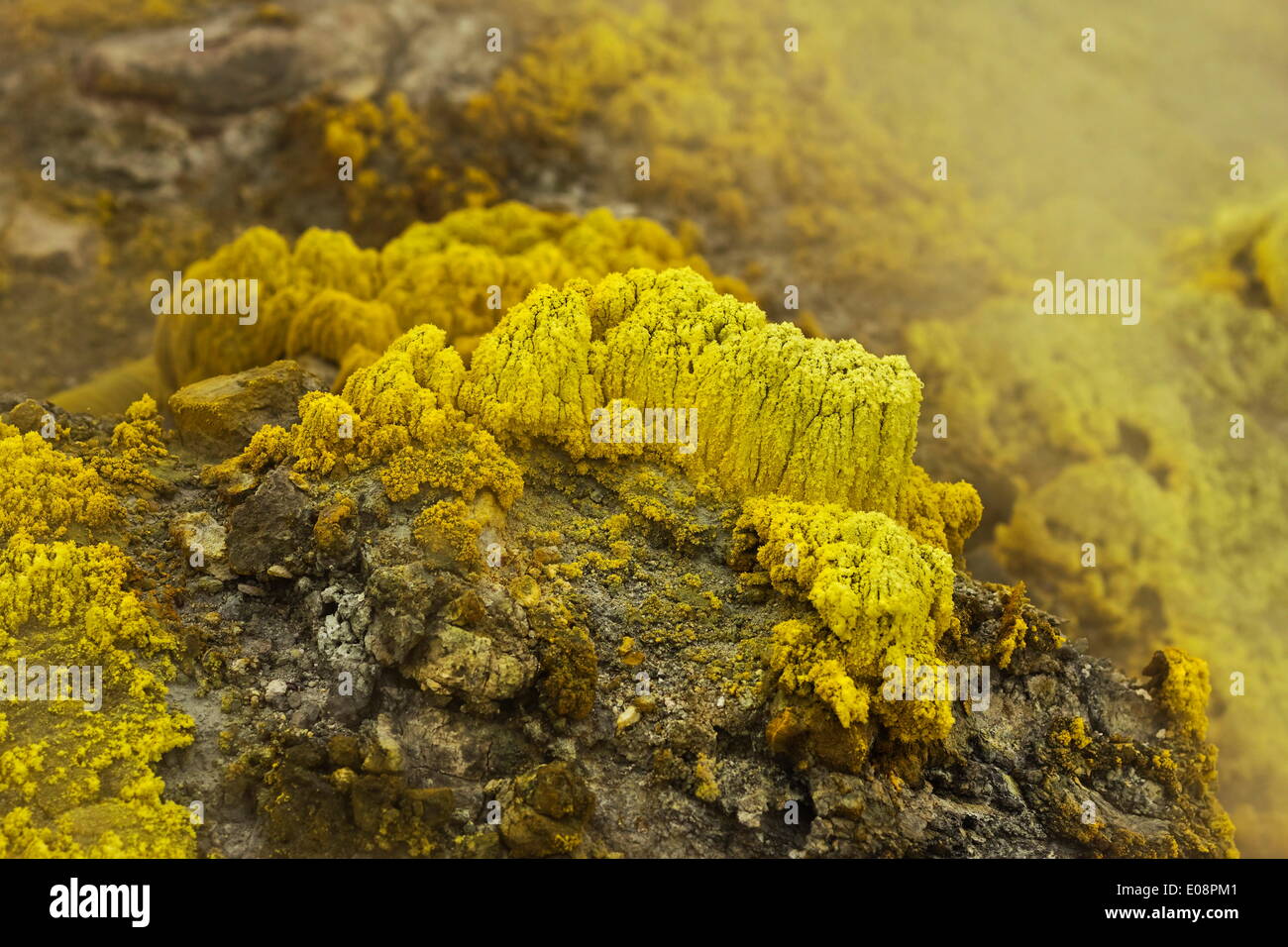 Sulphur crystals on fumarole at Papandayan Volcano an active four ...