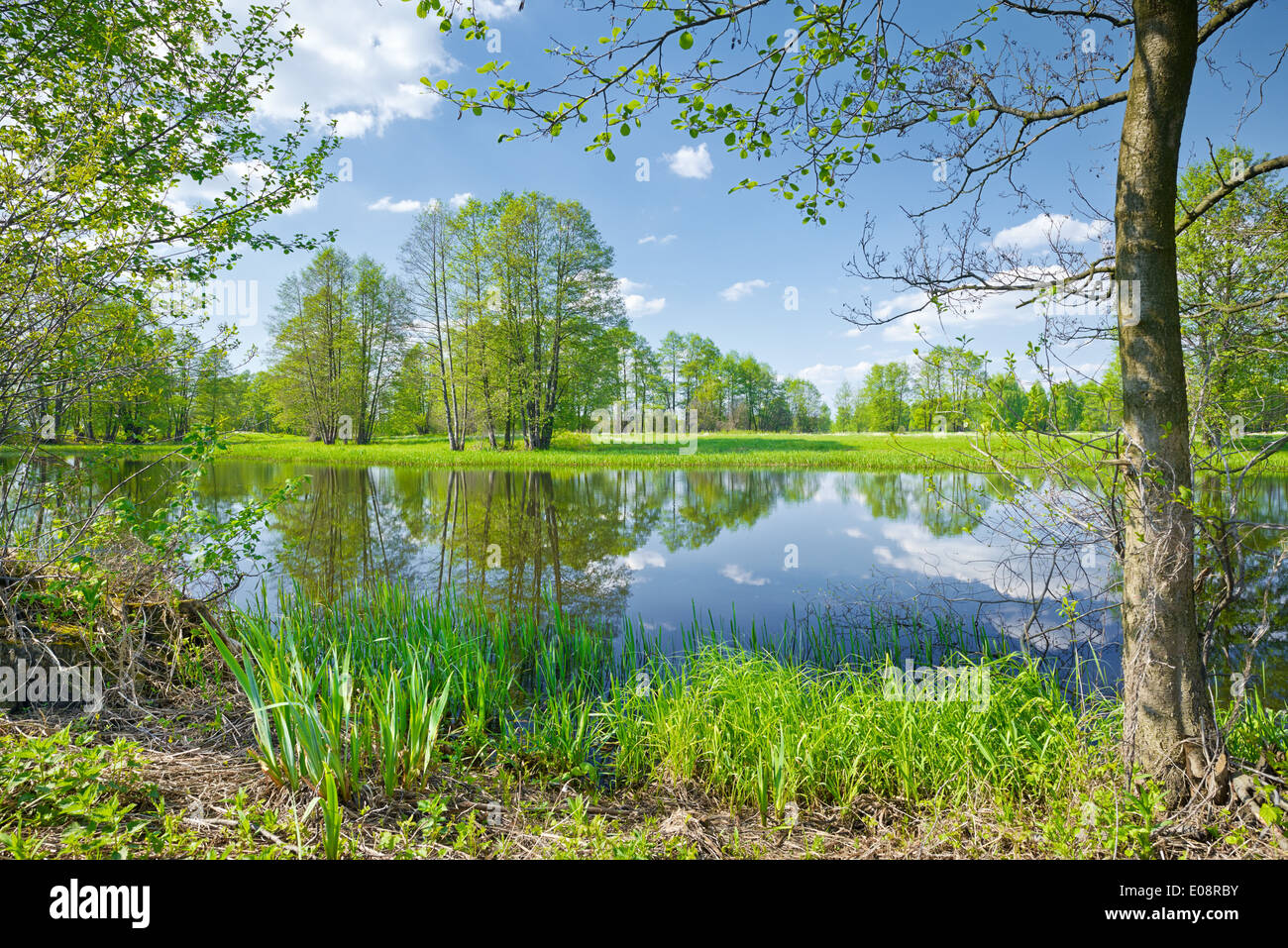 Summer landscape green trees riverbank hi-res stock photography and ...