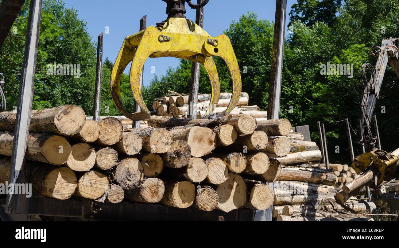 Logs loading hi-res stock photography and images - Alamy