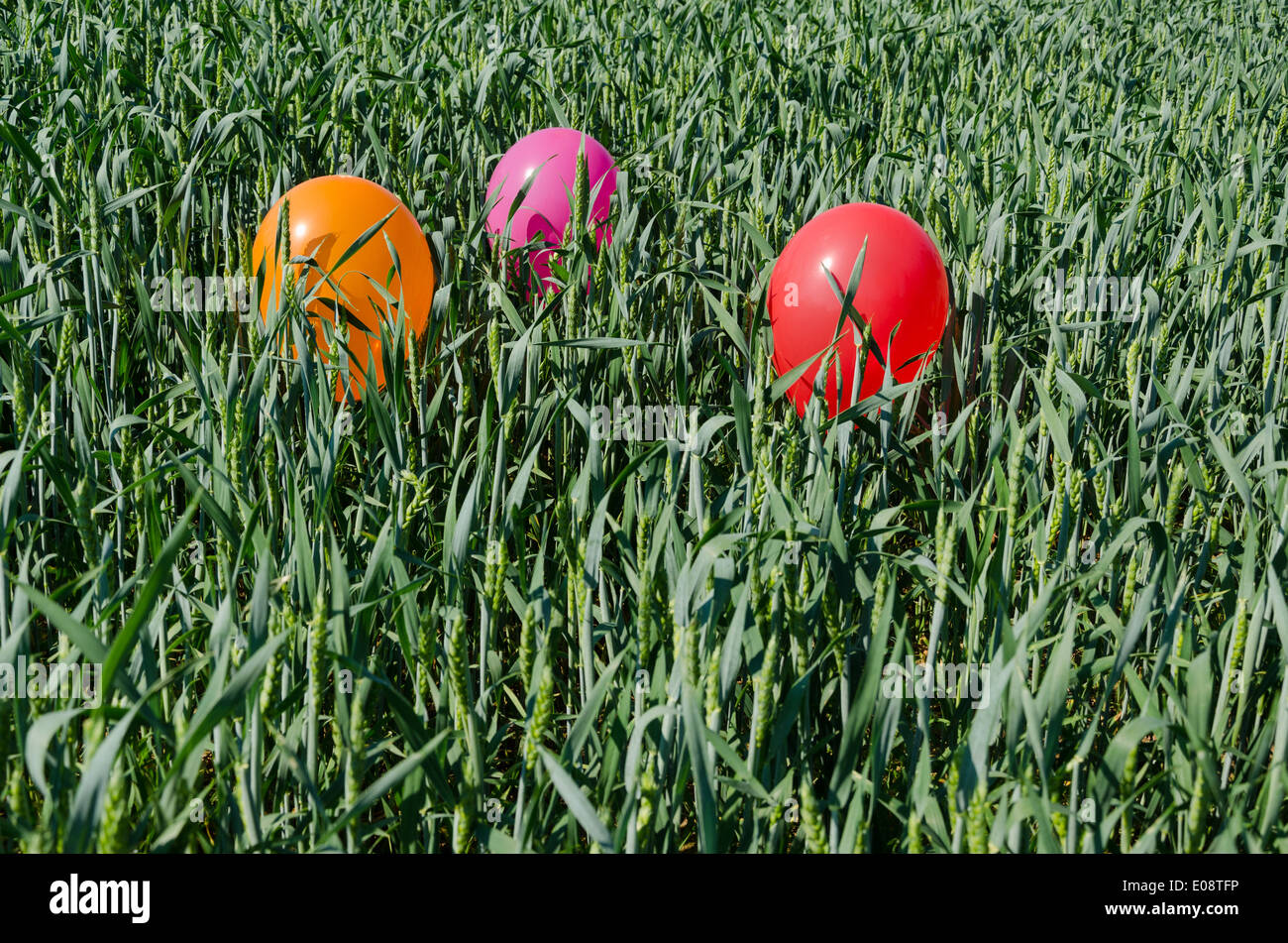 Green grass balloons hi-res stock photography and images - Alamy