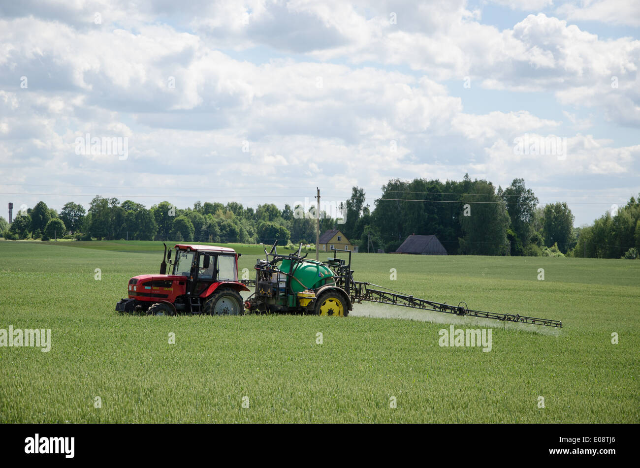 tractor spraying green crop field near village houses in summer Stock ...