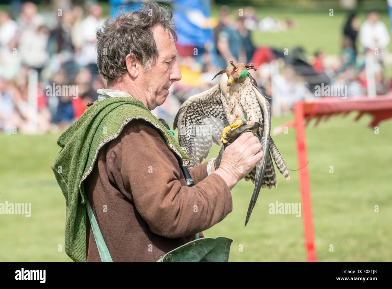 One man a his bird at Blenheim Palace Jousting Tournament Stock Photo ...
