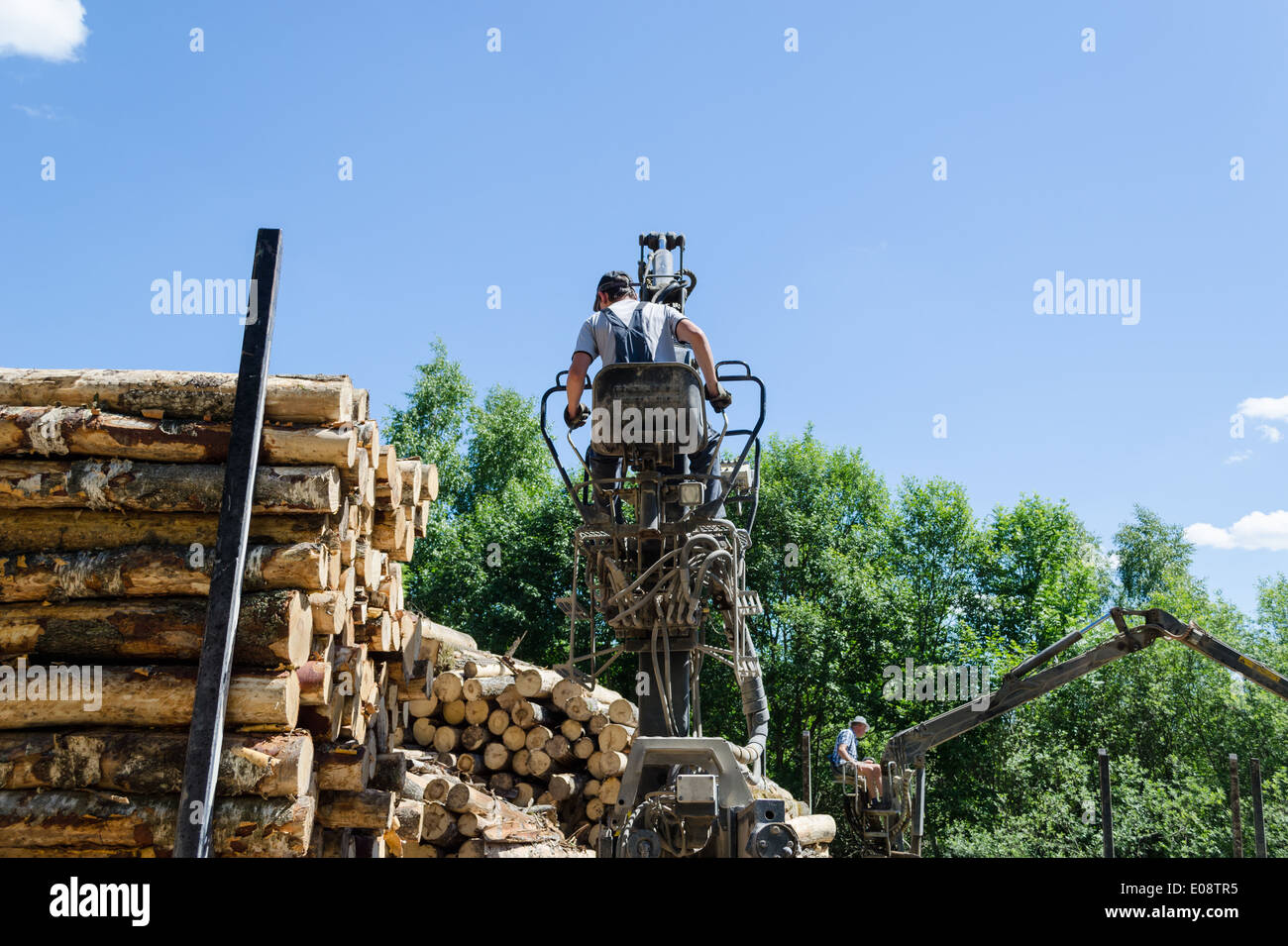 Man loading felled tree hi-res stock photography and images - Alamy