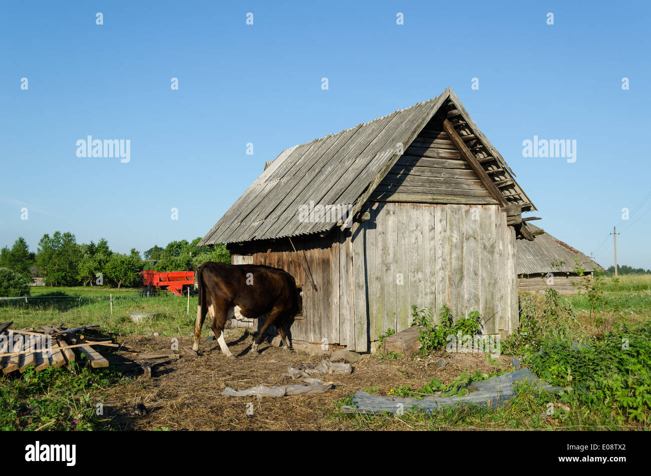 Cow nose hole hi-res stock photography and images - Alamy