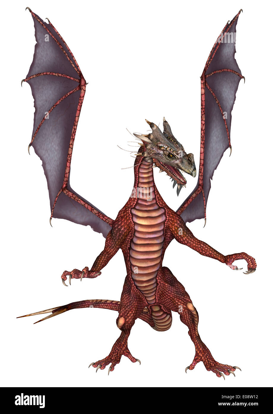 3D digital render of a red fantasy dragon isolated on white background ...