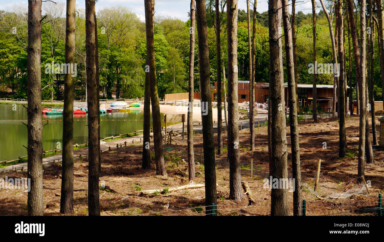 Center parcs woburn forest hi-res stock photography and images - Alamy