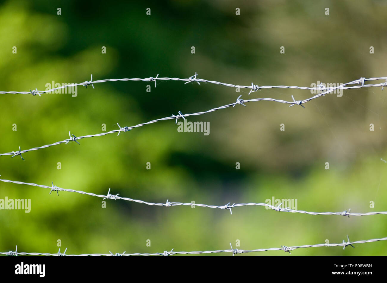 barb barded wire barbwire sharp keep out fence fences fencing security ...