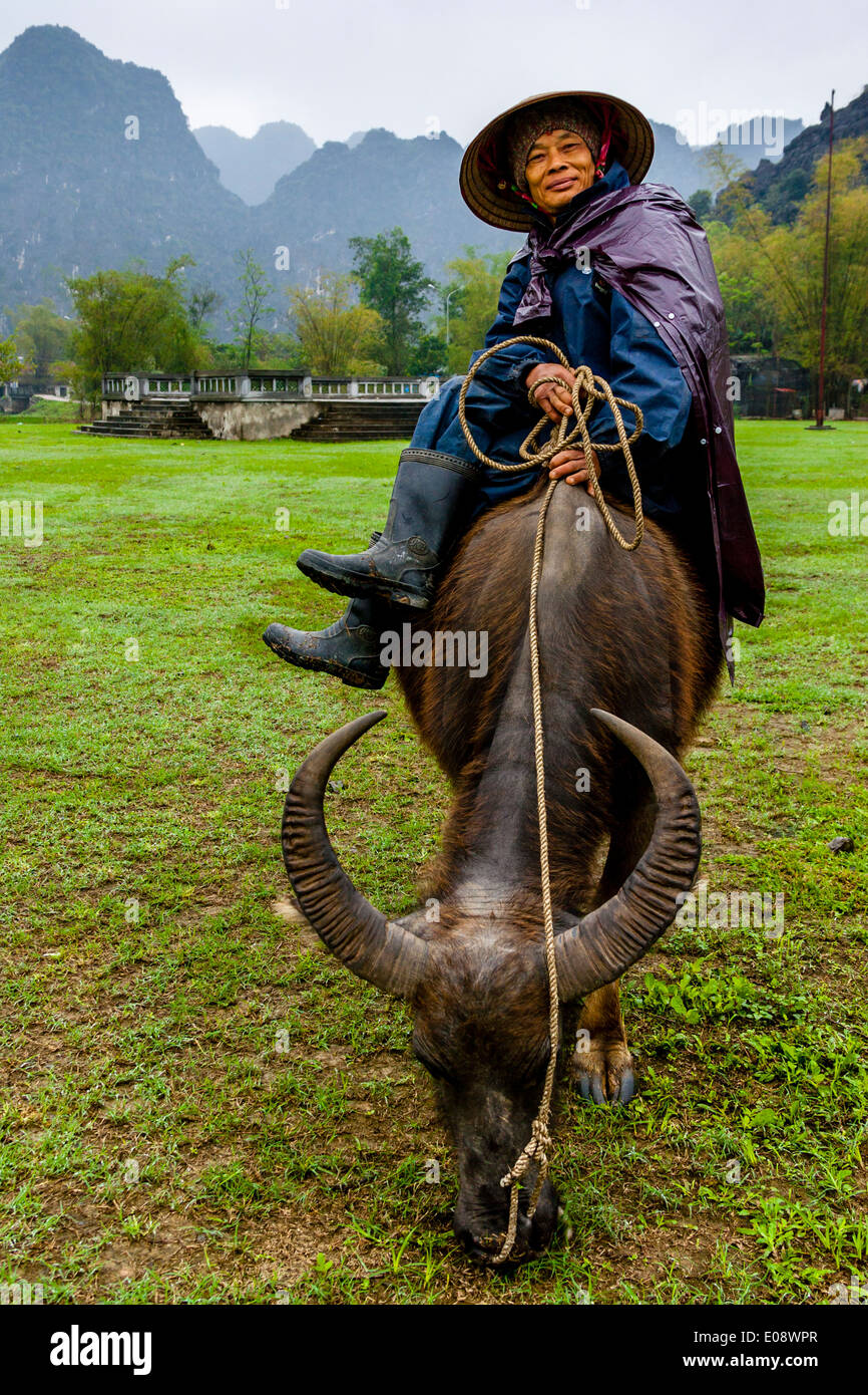 Riding a water buffalo hi-res stock photography and images - Alamy