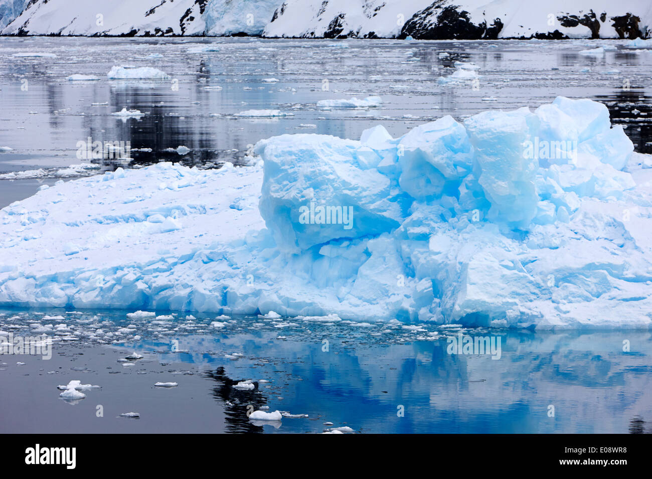 blue ice iceberg floating through the lemaire channel Antarctica Stock ...
