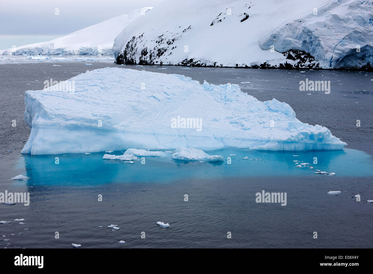 blue ice wedge iceberg floating through the lemaire channel Antarctica ...