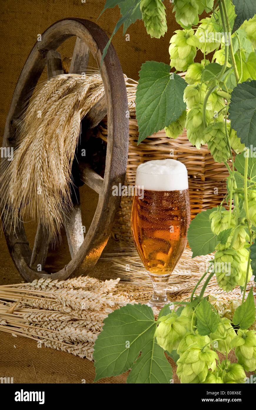 Beer Hops And Barley Stock Photo - Alamy