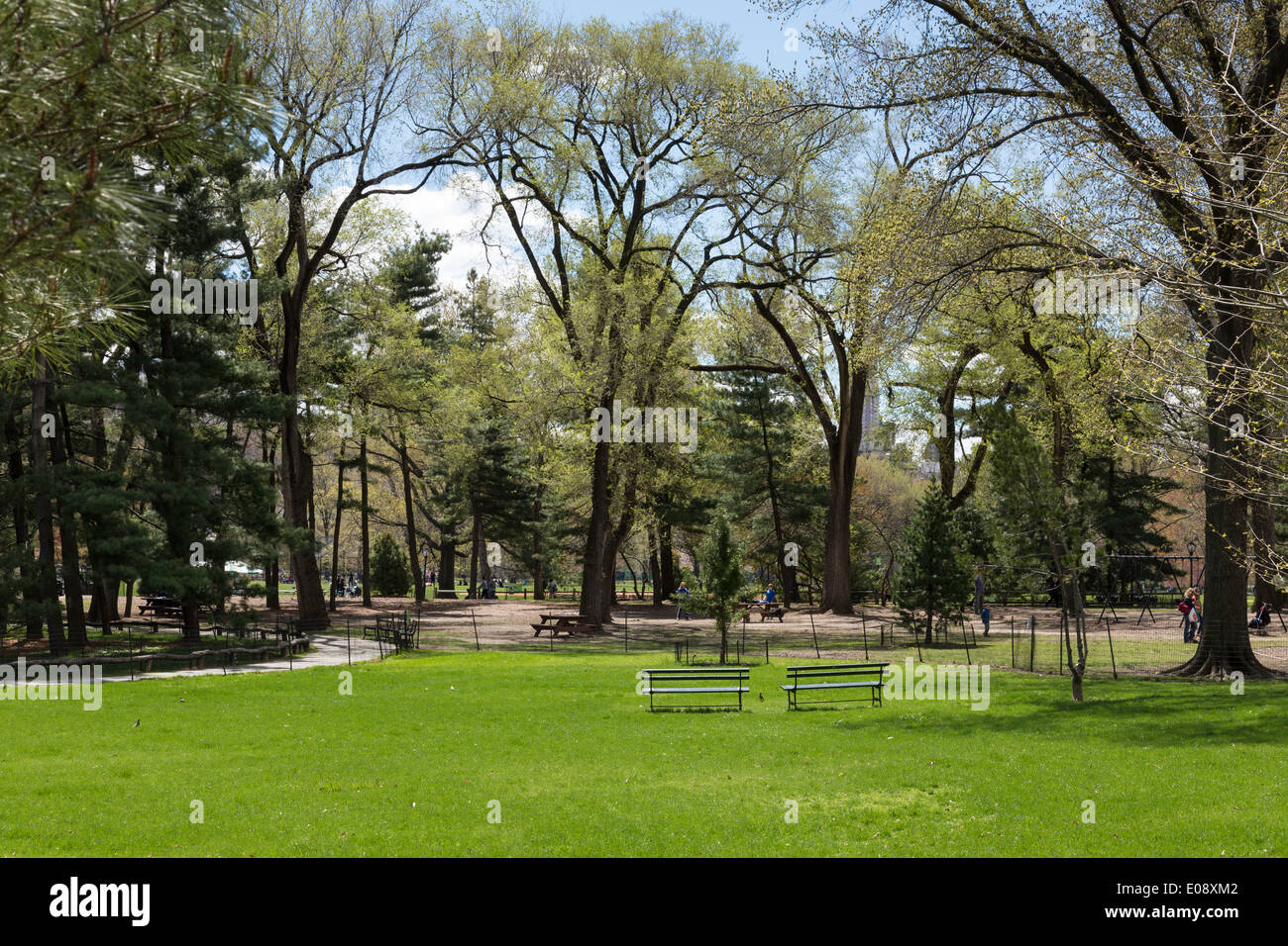 Arthur ross pinetum in central park hi-res stock photography and images ...