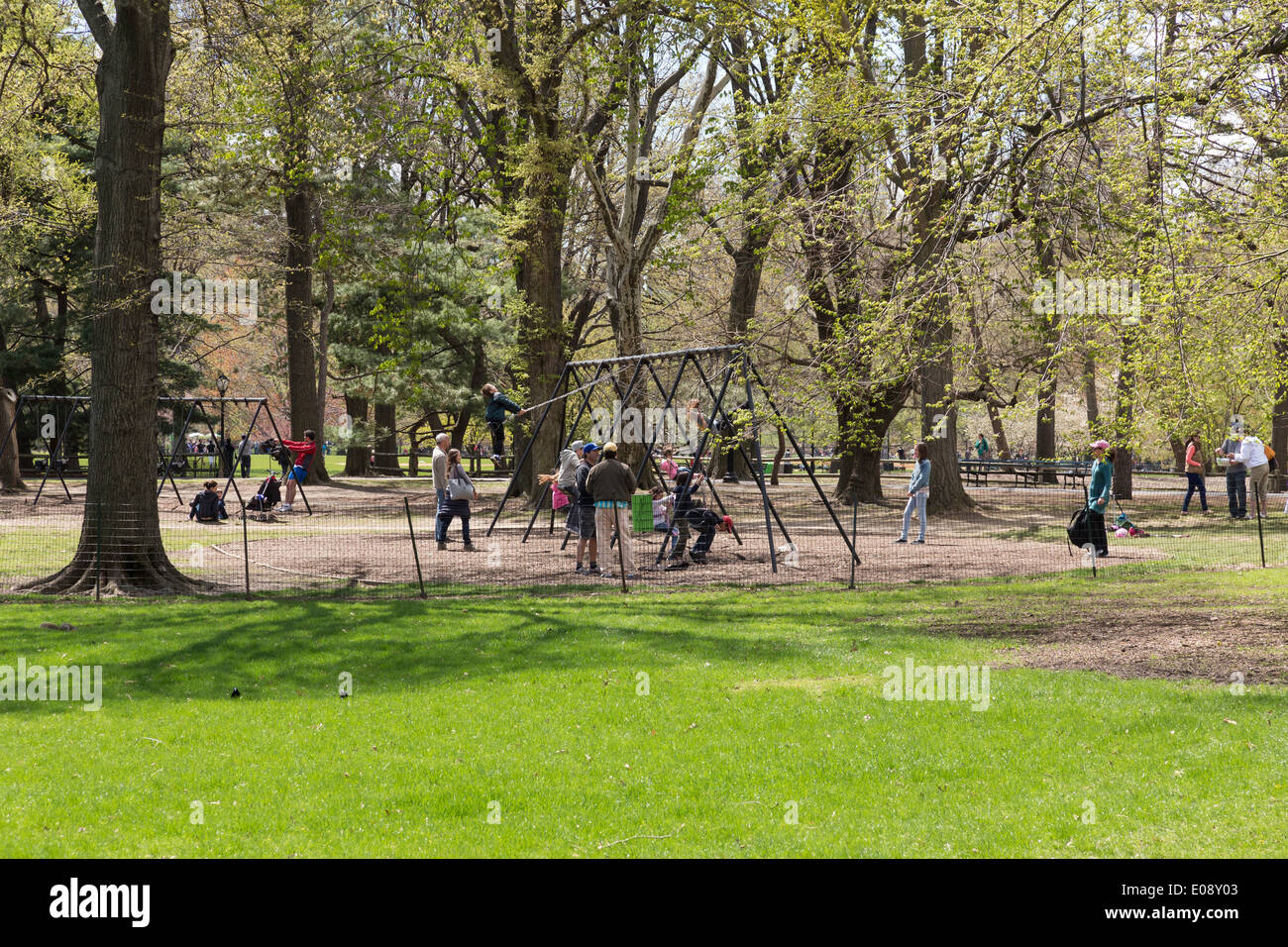 Arthur Ross Pinetum in Central Park, NYC, USA Stock Photo - Alamy
