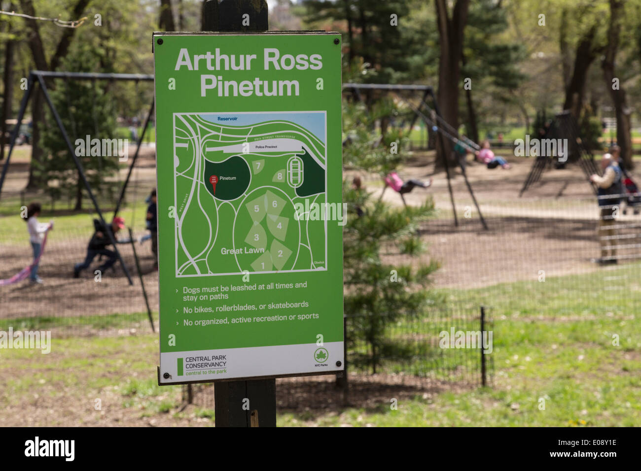 Arthur Ross Pinetum in Central Park, NYC, USA Stock Photo - Alamy