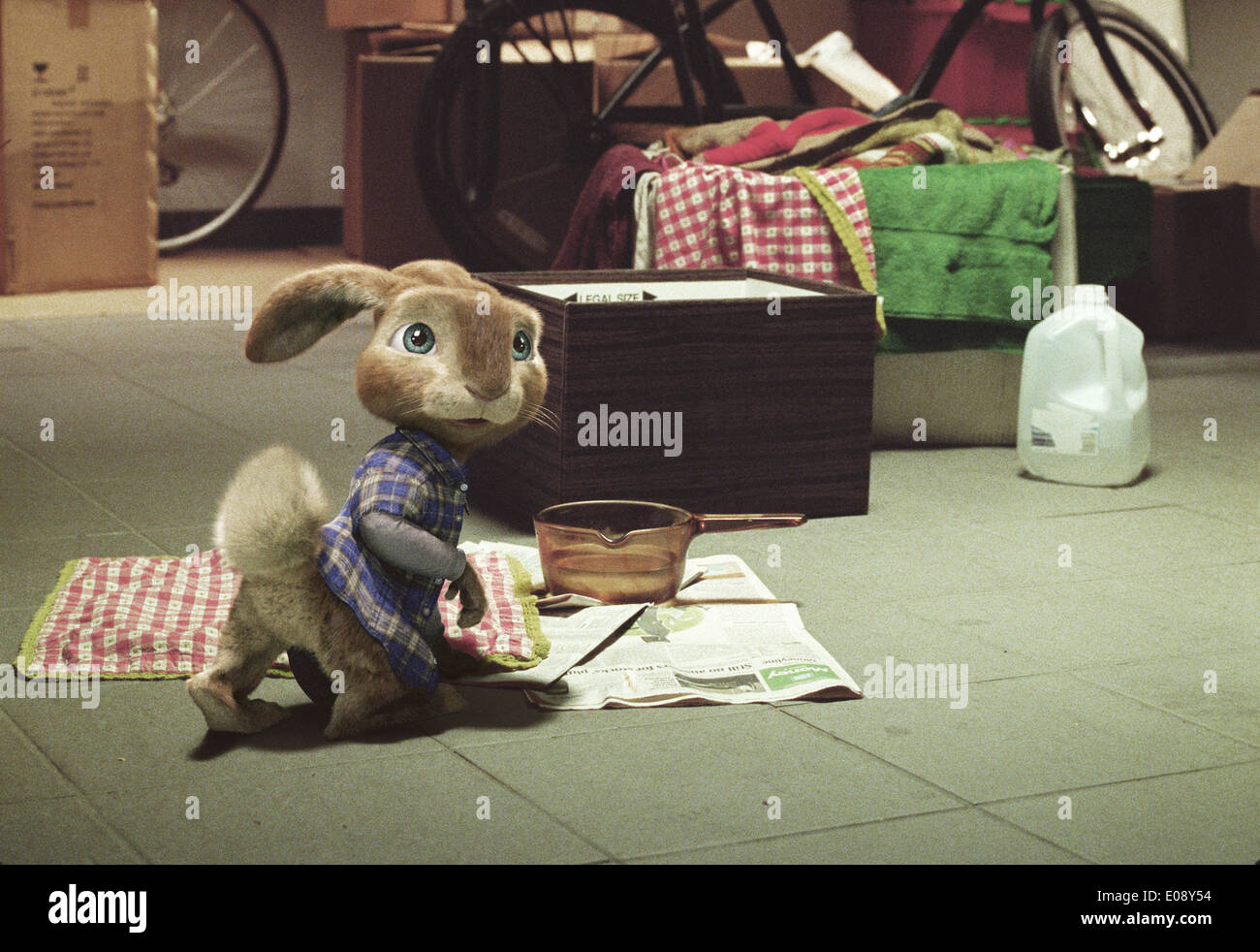 Tim hill hi-res stock photography and images - Alamy