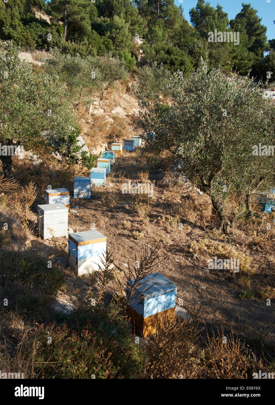 Greece beehives hi-res stock photography and images - Alamy