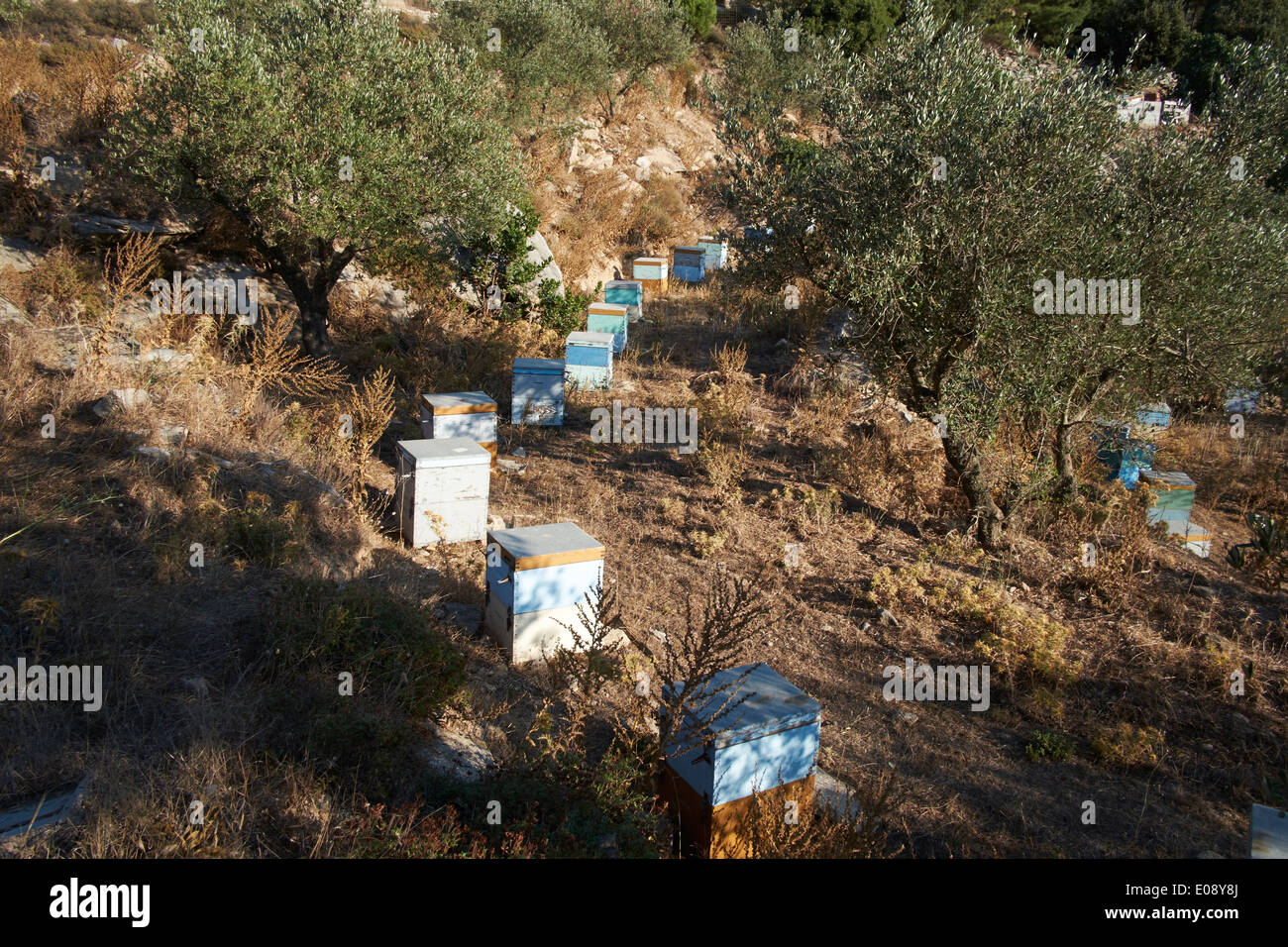 Beehives in Ikaria, Greece Stock Photo - Alamy